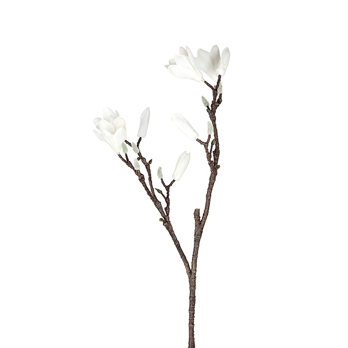 White Magnolia Spray – Splendour Living Cobbitty
